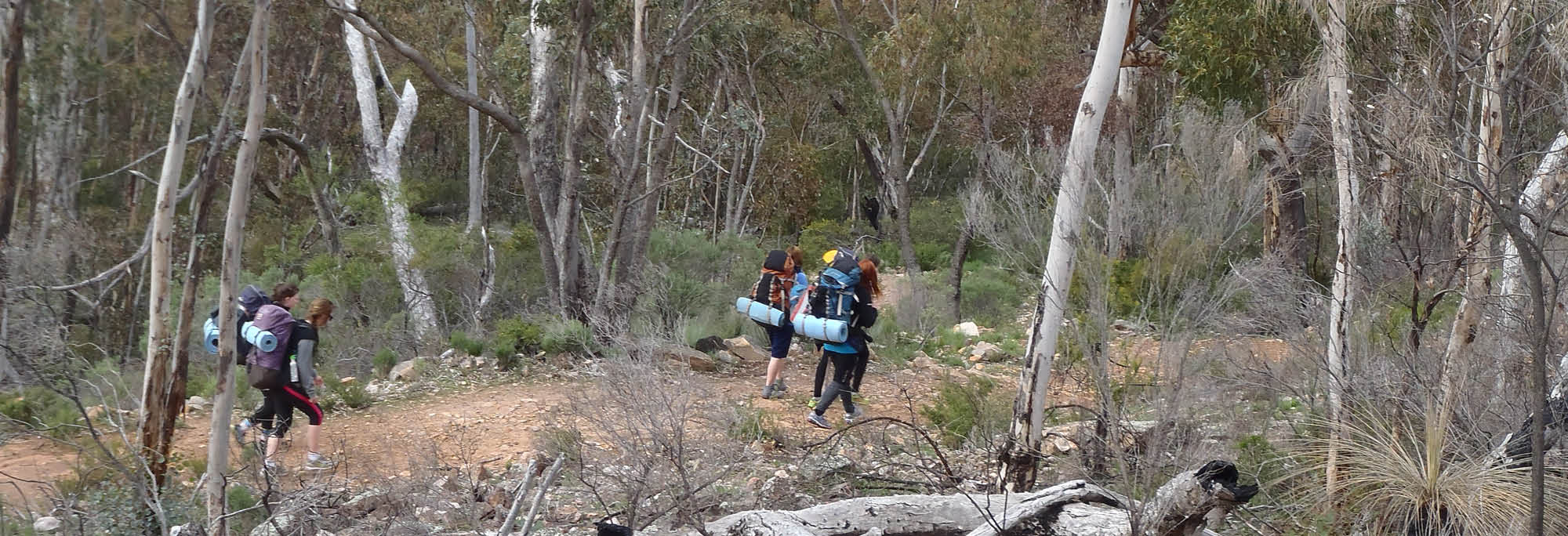 Australian Adventure Activity Standards (AAAS) - Outdoors SA