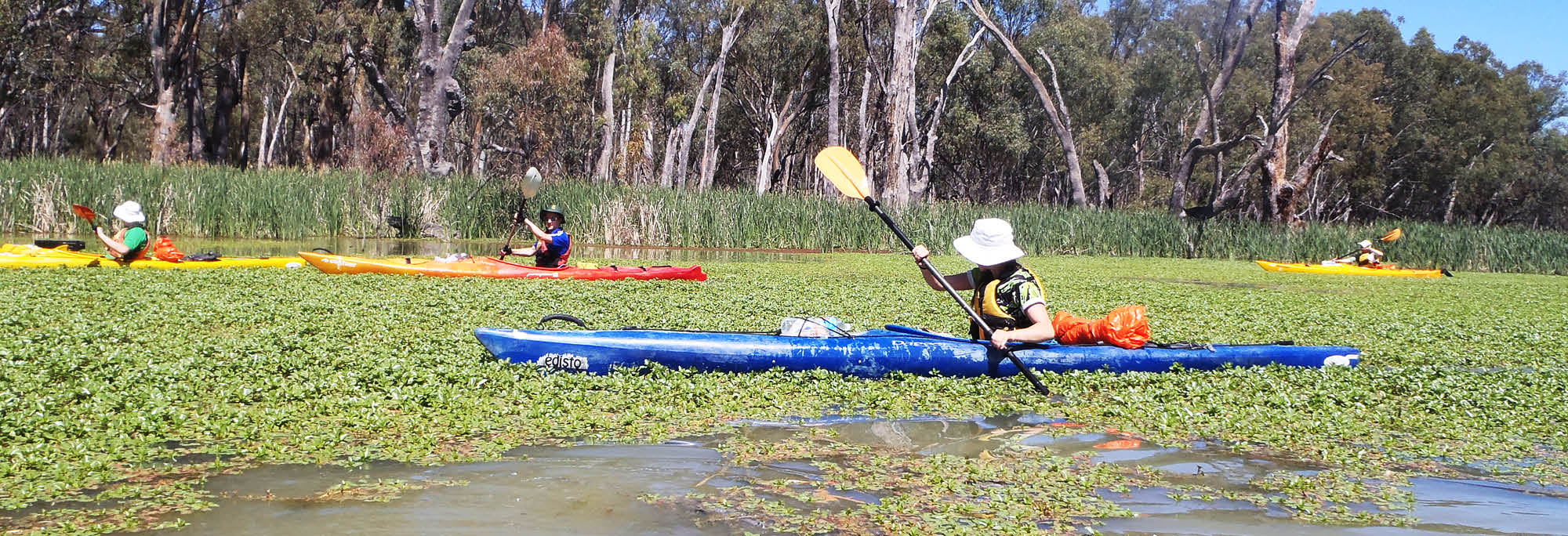 Australian Adventure Activity Standards (AAAS) - Outdoors SA